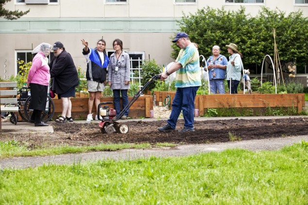 Enhancing food security through experiential sustainability leadership ...