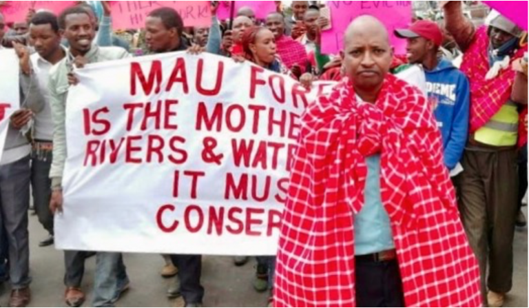 Seeing Water Through the Trees: Maasai Activists in Kenya Among ...
