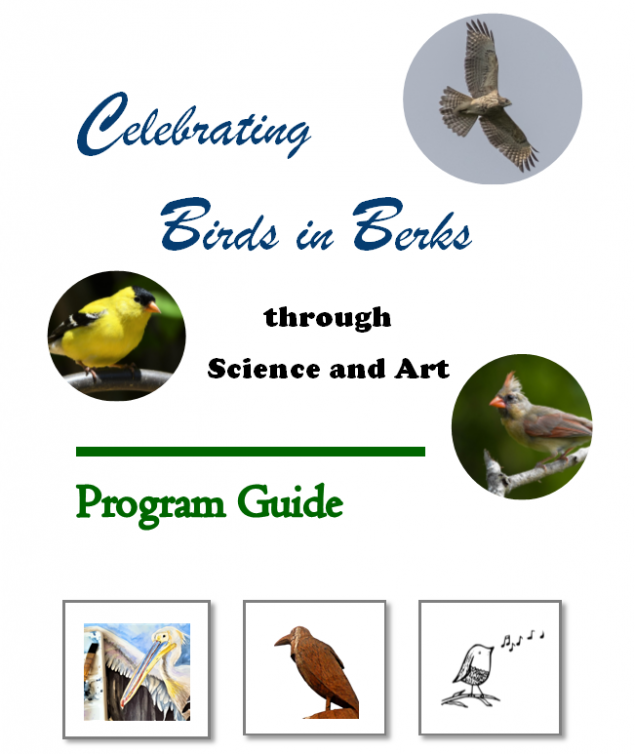 Seeing birds and biodiversity through science and art: An integrated ...