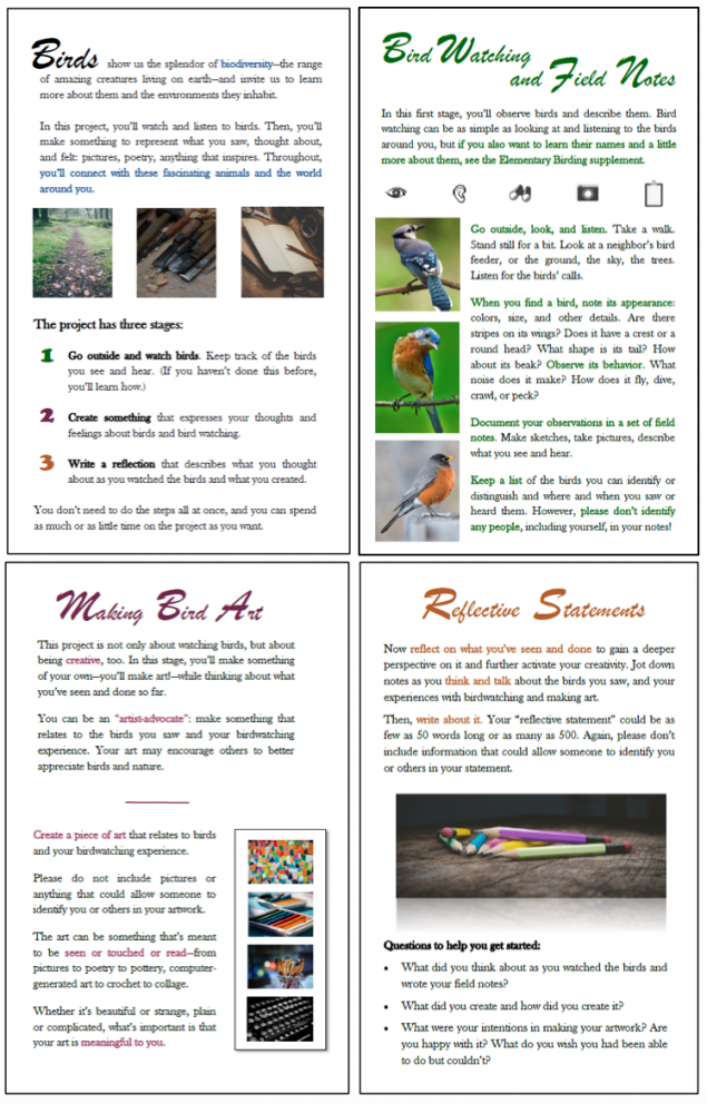 Seeing birds and biodiversity through science and art: An integrated ...