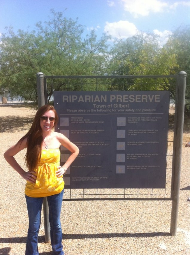 Sustainability Education and Environmental Nihilism: Transforming ...