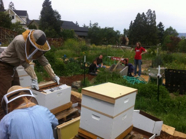 Beekeeping as Experiential: The Ashland Apiary Project « Journal of ...