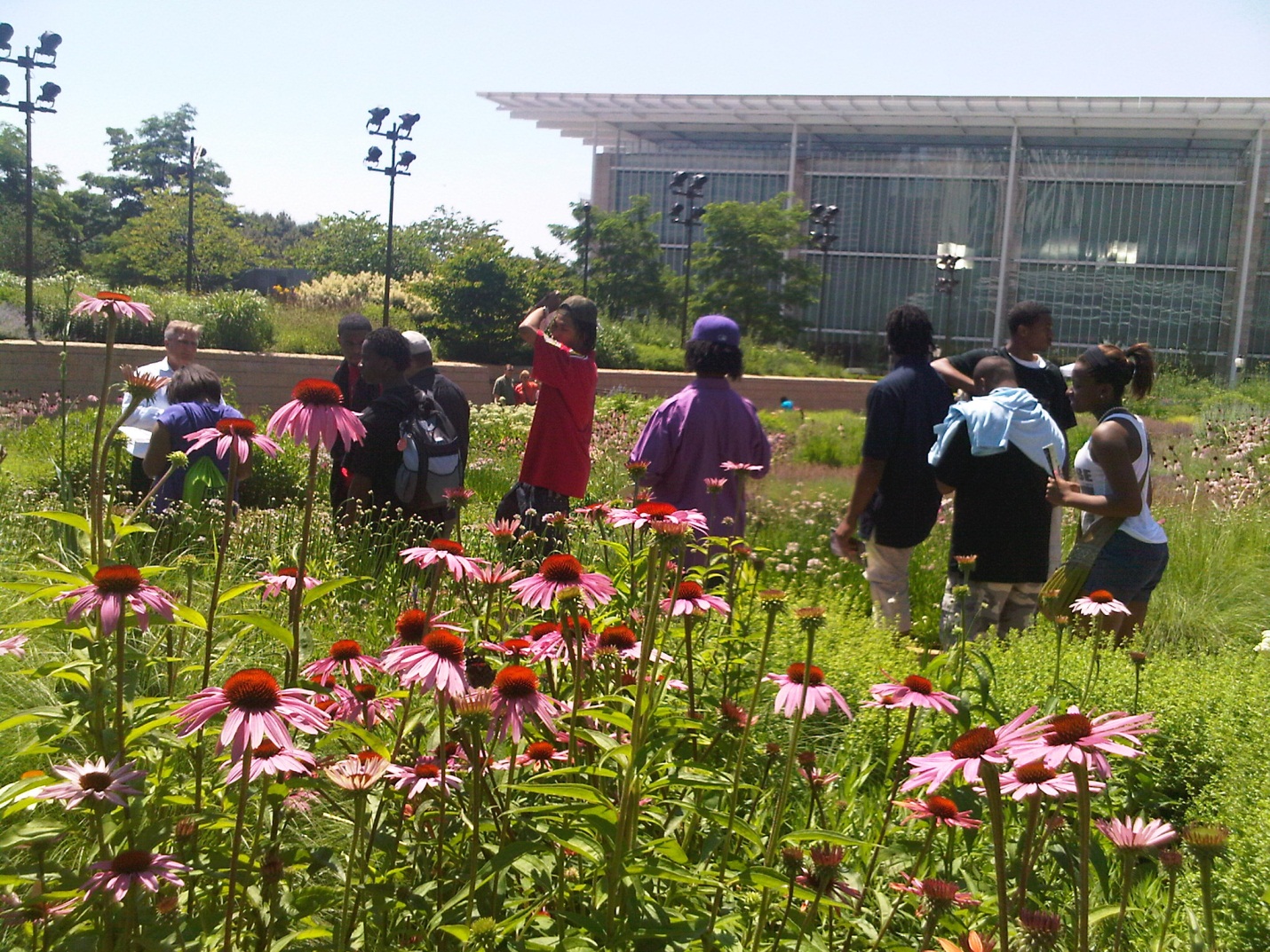 Cook County Green Corps African American Trainee Experience in a Green ...