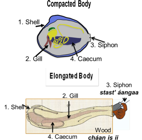 Picture1 « Journal of Sustainability Education