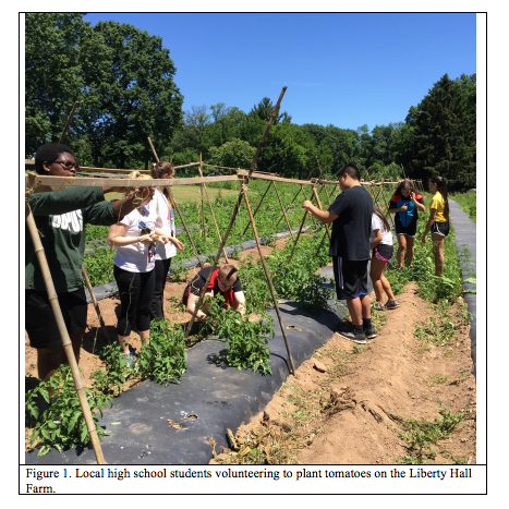 Planting More than Just Veggies: Student-Created Plans for a ...