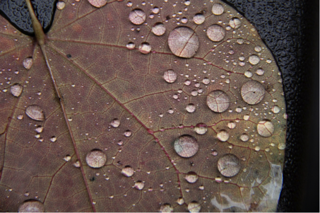 Connecting through the lens: Cross-cultural perspectives on urban ...