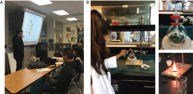 Imagining a sustainable future: Inspiring creativity in science ...