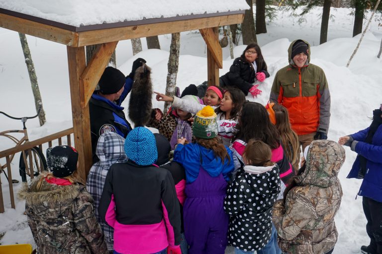 Indigenous Sustainabilities: Decolonization, Education, and ...