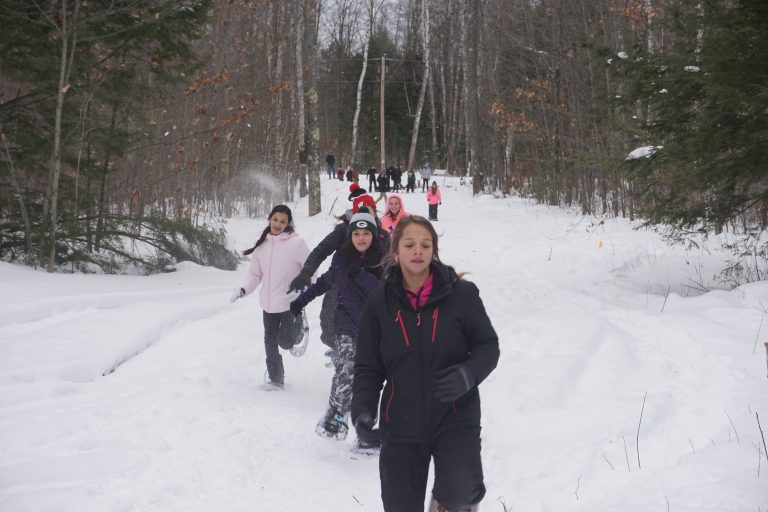 Indigenous Sustainabilities: Decolonization, Education, and ...