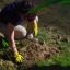 Environmental education « Journal of Sustainability Education