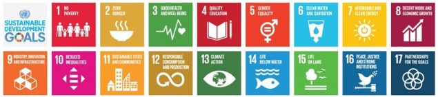 From children’s literature to sustainability science, and young ...