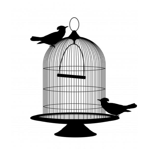 The Globalization of Anti-Fat Bias: Social Justice, Decolonization, and ...